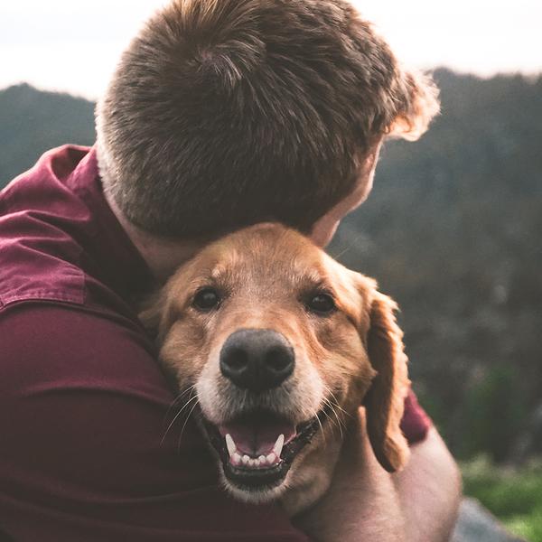 How It Works-1 - Zero Odor